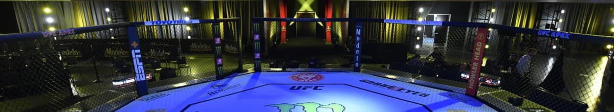 UFC VIP