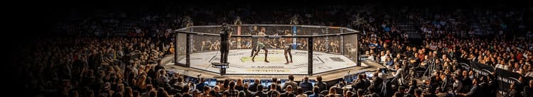 UFC 329 Ticket Packages